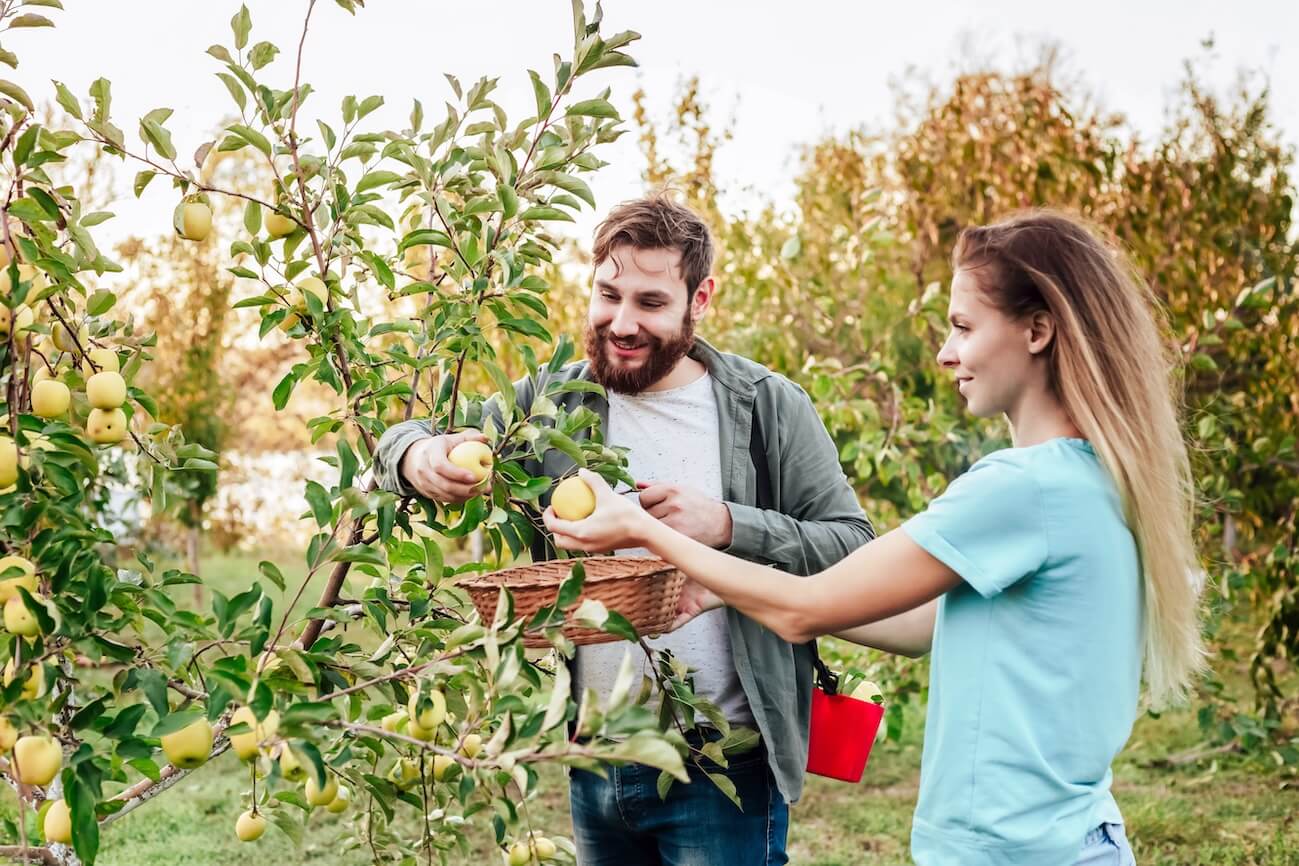 15 Instagram Captions For All Your Apple Picking Posts
