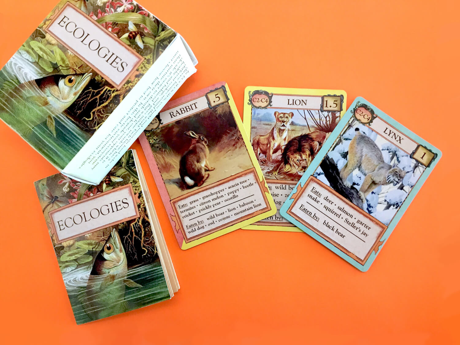 If You’re Obsessed With Animals, Ecologies Might Be Your Next Card Game ...