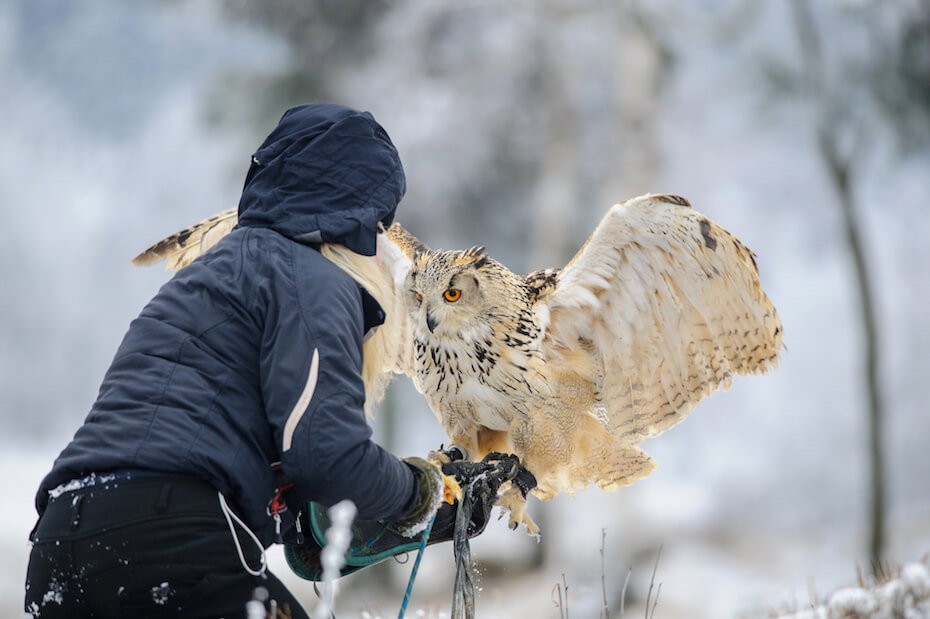 These 46 Unbelievably Huge Animals Are the Biggest of Their Kind
