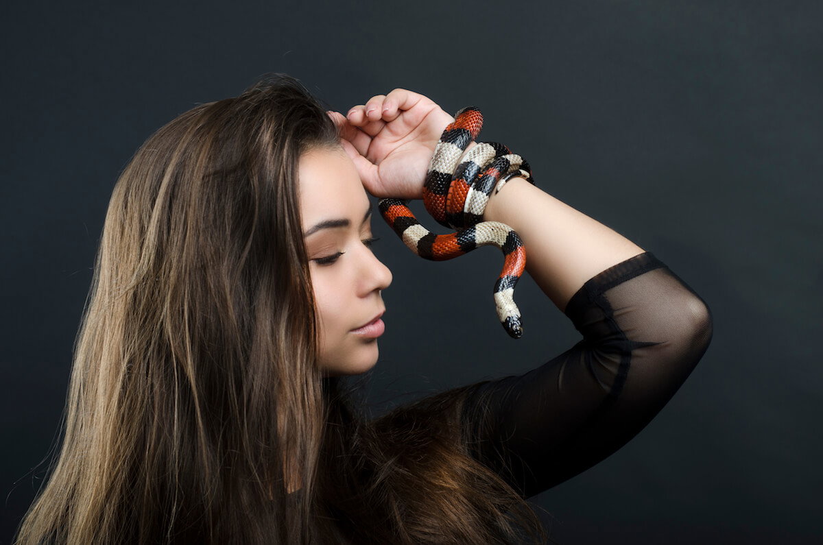 Pet Snake Instagram Captions for Every Scaly Photo