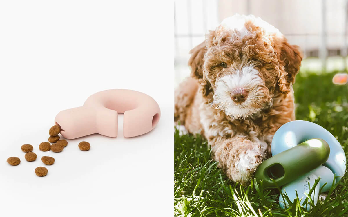 Best International Dog Day Products