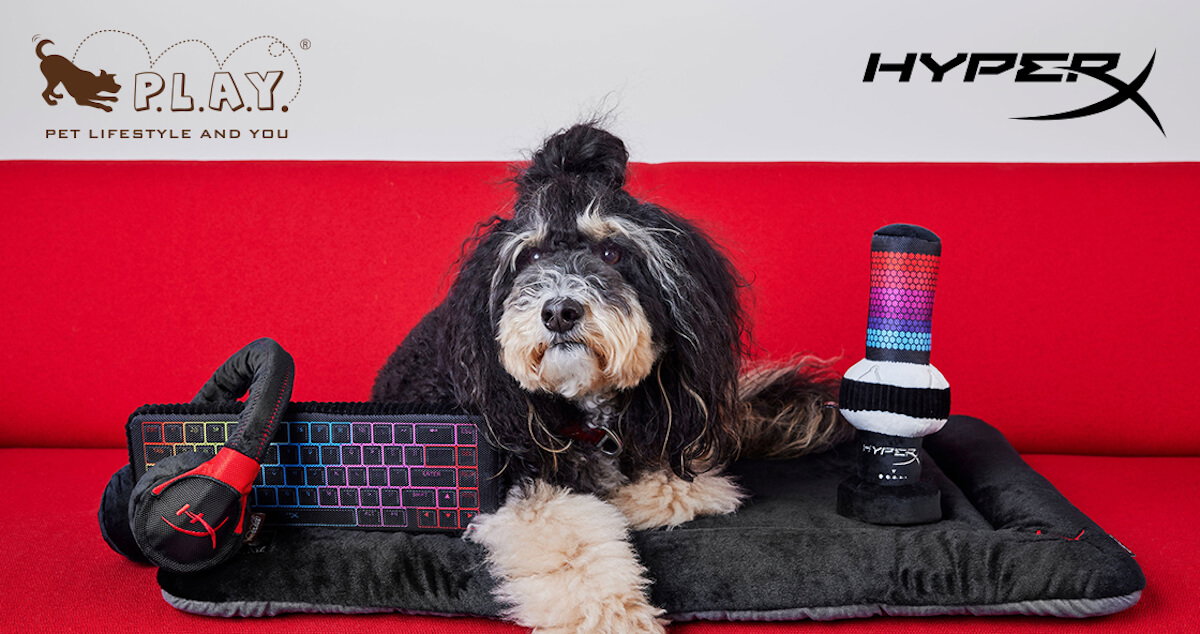 Gaming Company HyperX & P.L.A.Y. Pet Toys Collab