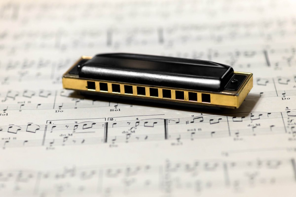 The Easiest Musical Instruments to Learn