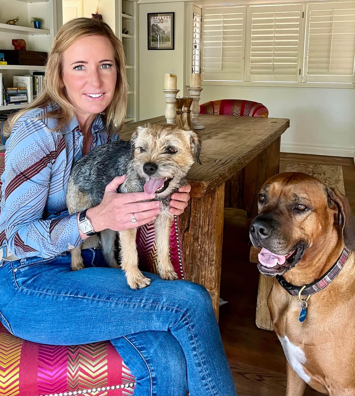 Honest Kitchen Founder Lucy Postins on the Power of Dog Food