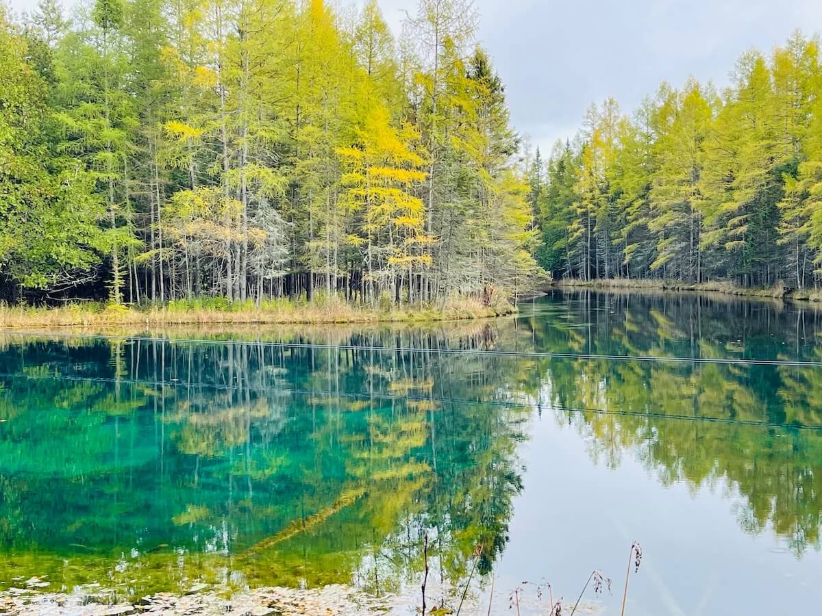 6 of the Most Beautiful State Parks to Visit in the Spring